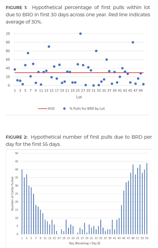 Considerations for Commingling Cattle: Looking Beyond the Averages ...